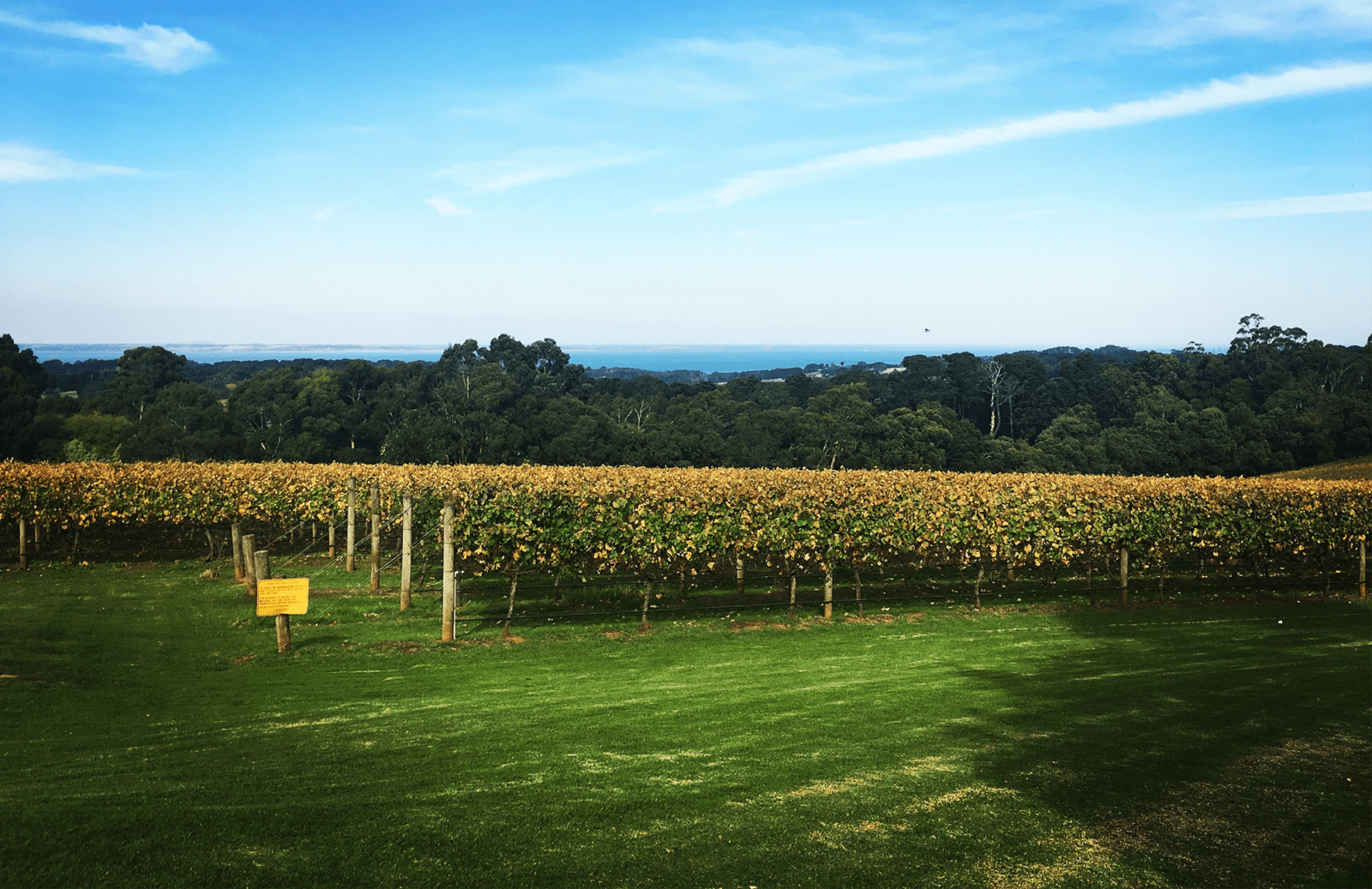 Mornington Peninsula Winery Tour With Lunch – Wine Hop And Coastal Tours