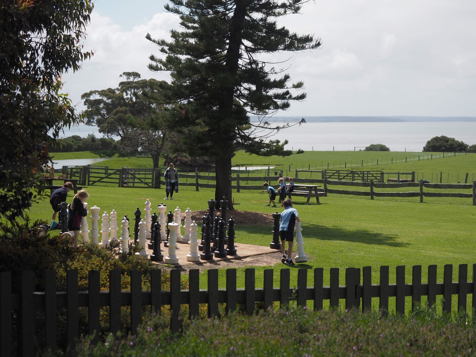 Phillip Island Penguin Parade & Churchill Island Farm Bus Tour – Wine ...