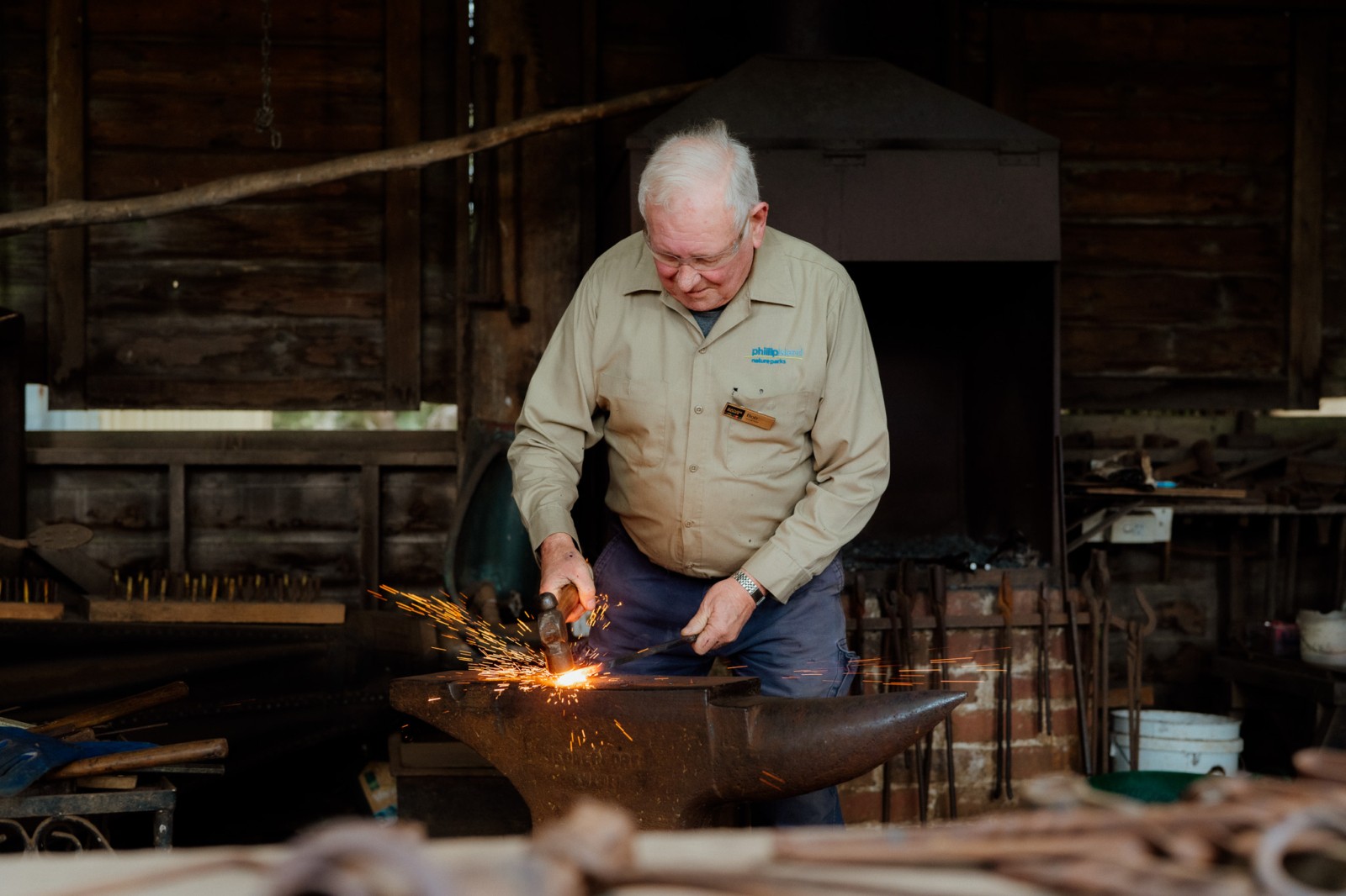 Phillip Island Penguin Parade & Churchill Island Farm Bus Tour – Wine ...