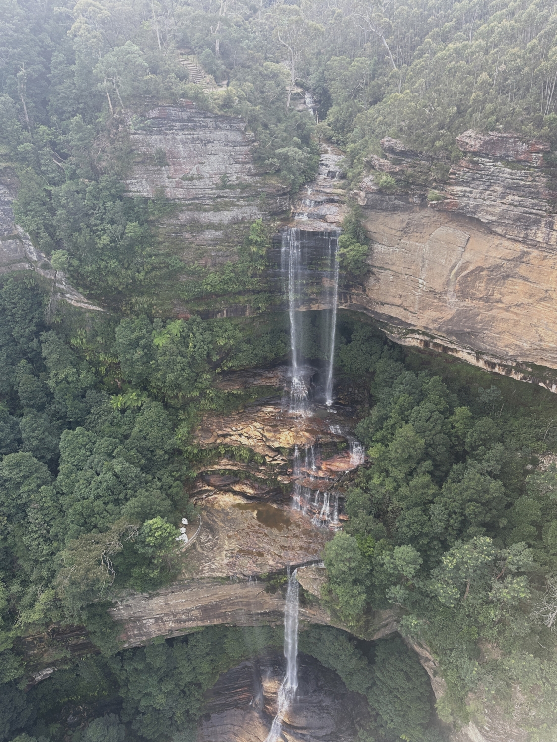 Blue Mountains Adventure Tour inc Scenic World, Harbour Ferry Cruise ...